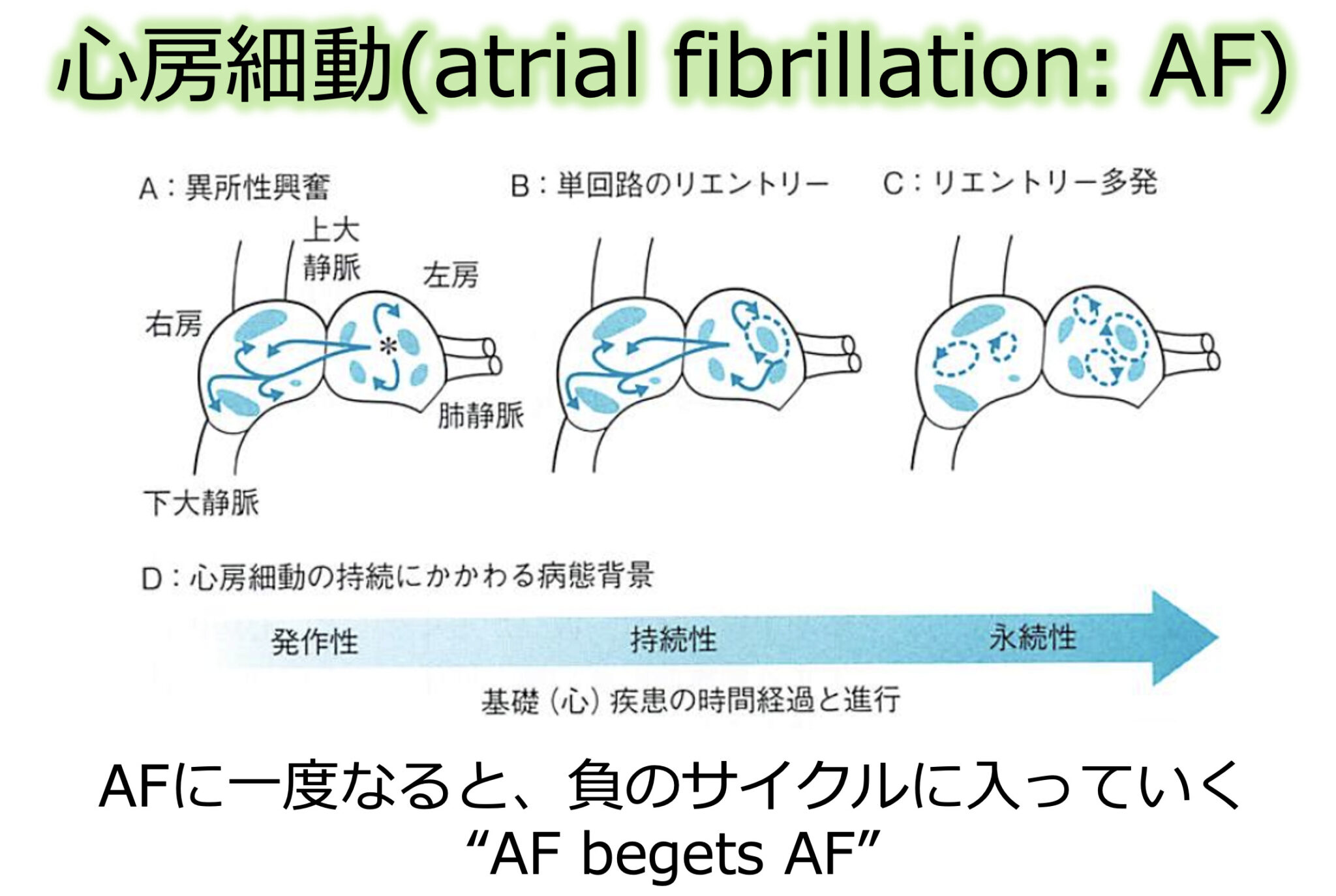 心房細動(AF)の治療戦略まとめ